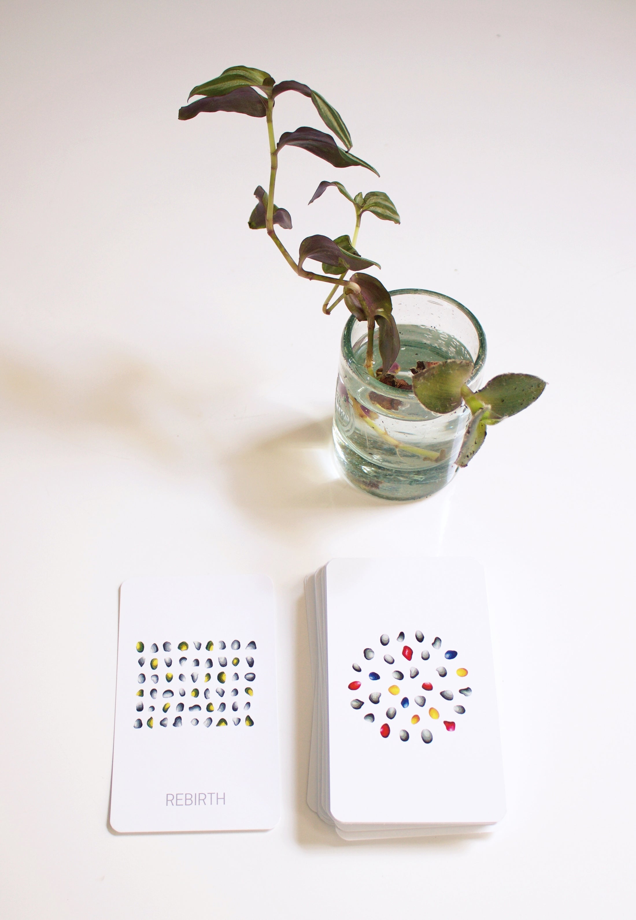The Moody Deck – Mood Body Studio